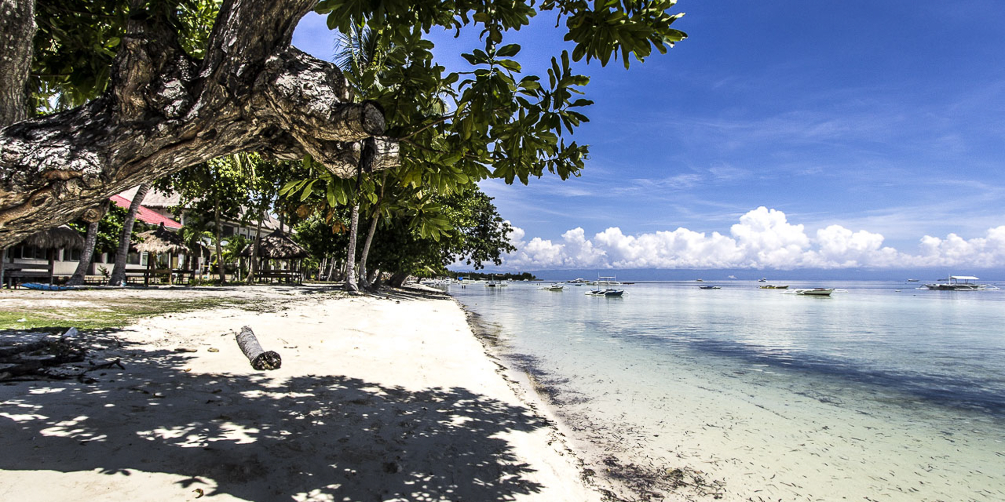 Amazing Beach Front Property for Sale in Bohol For Sale in Bohol ...